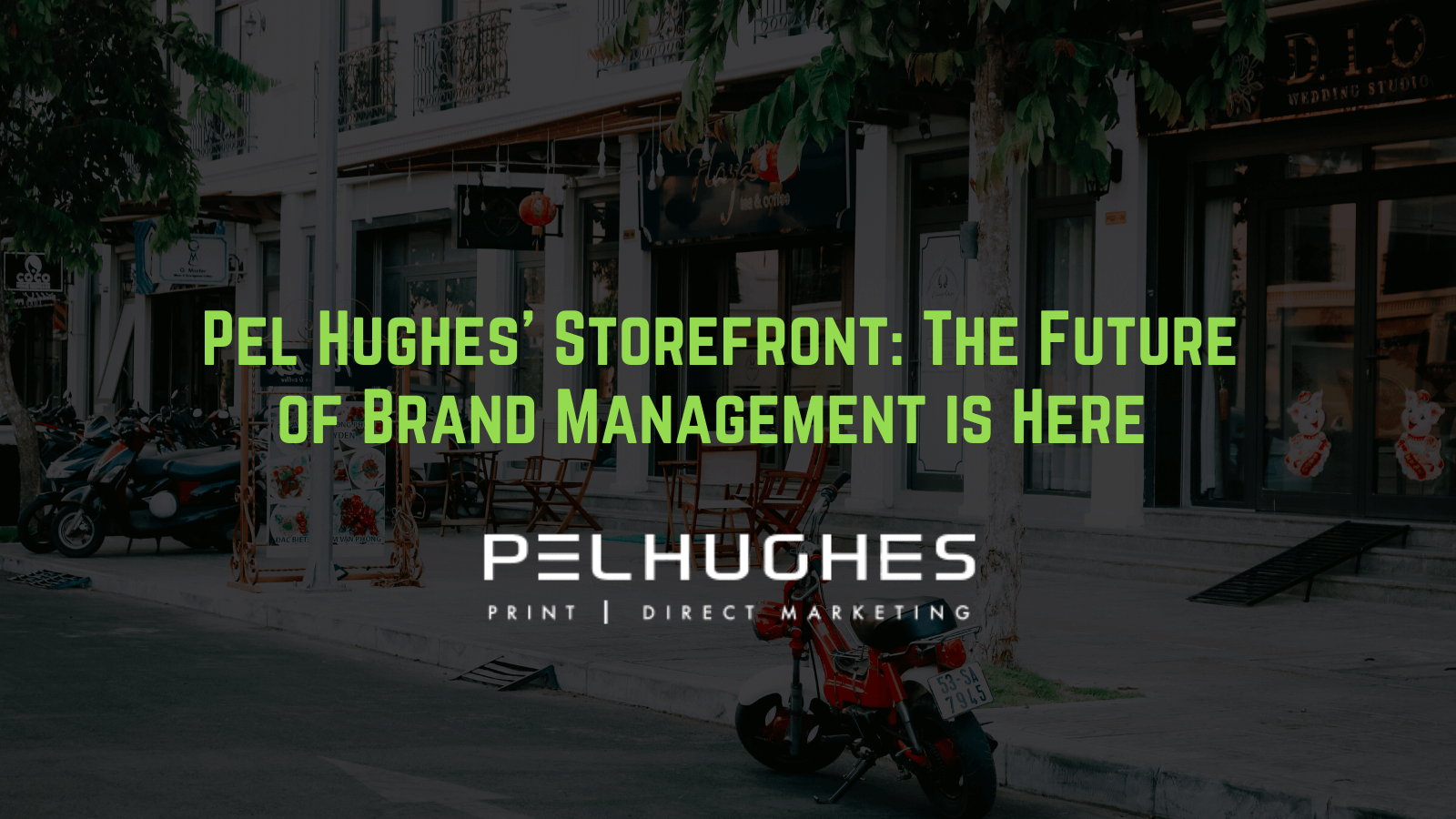 Pel Hughes' Storefront: The Future of Brand Management is Here